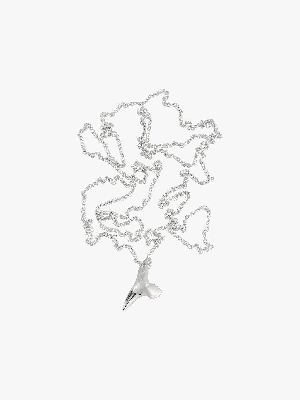 Small Shark Tooth | love billy